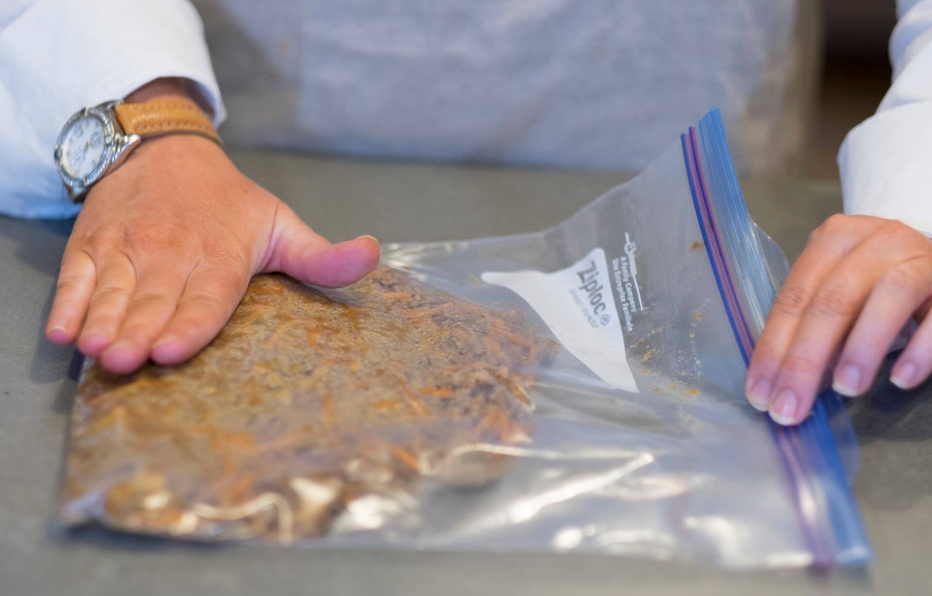 Freezing & Defrosting - The Batch Lady